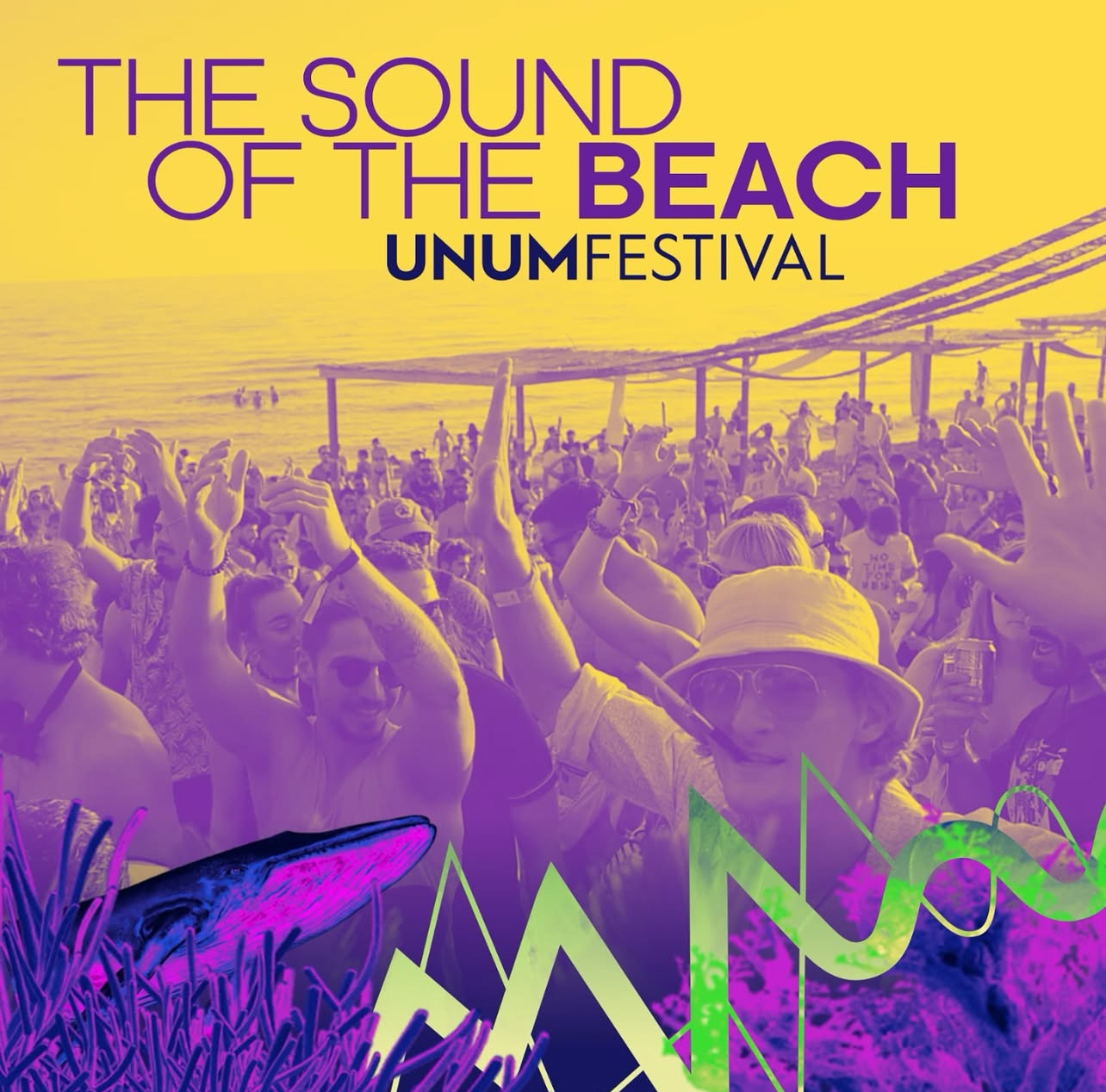 Bregdeti shqiptar pret yjet e elektronikës, 'Unum Festival' rikthehet ...